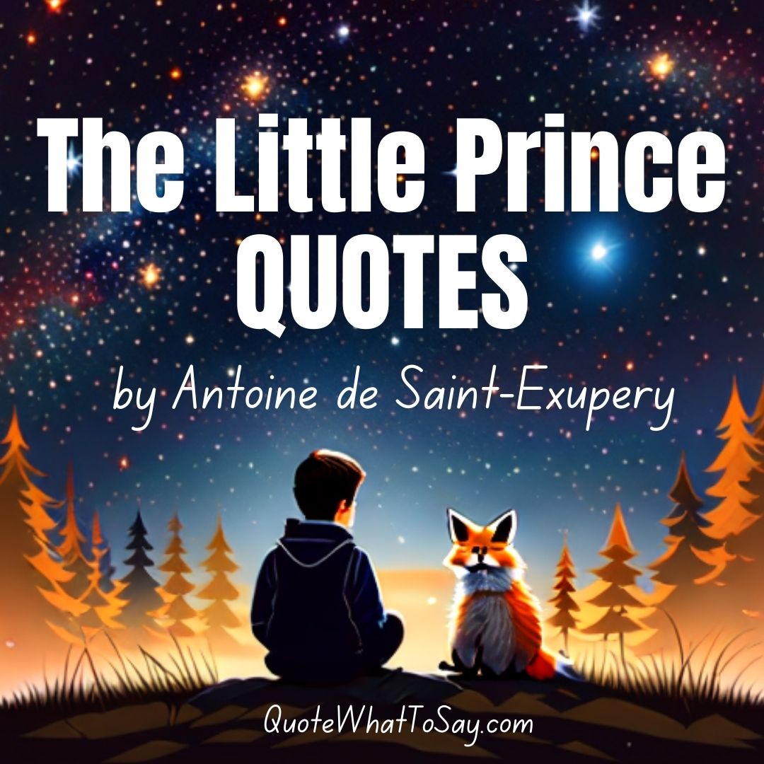 63 The Little Prince Quotes about Love, Rose, Life, Friendship.